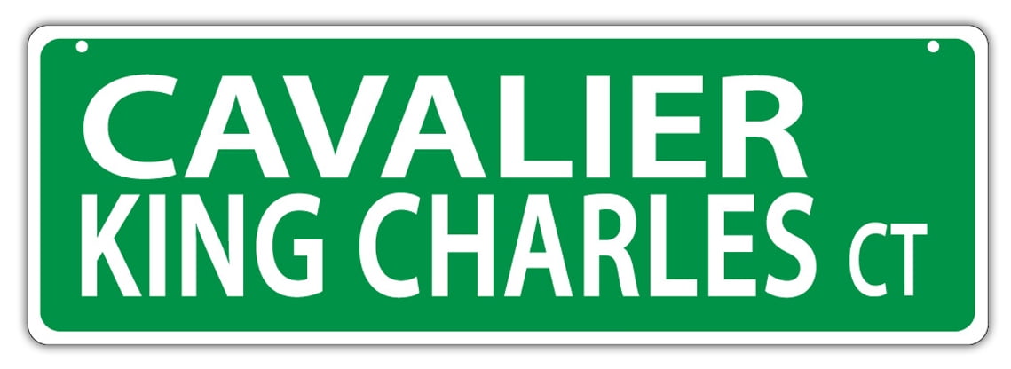 Plastic Street Signs: CAVALIER KING CHARLES COURT | Dogs, Gifts ...