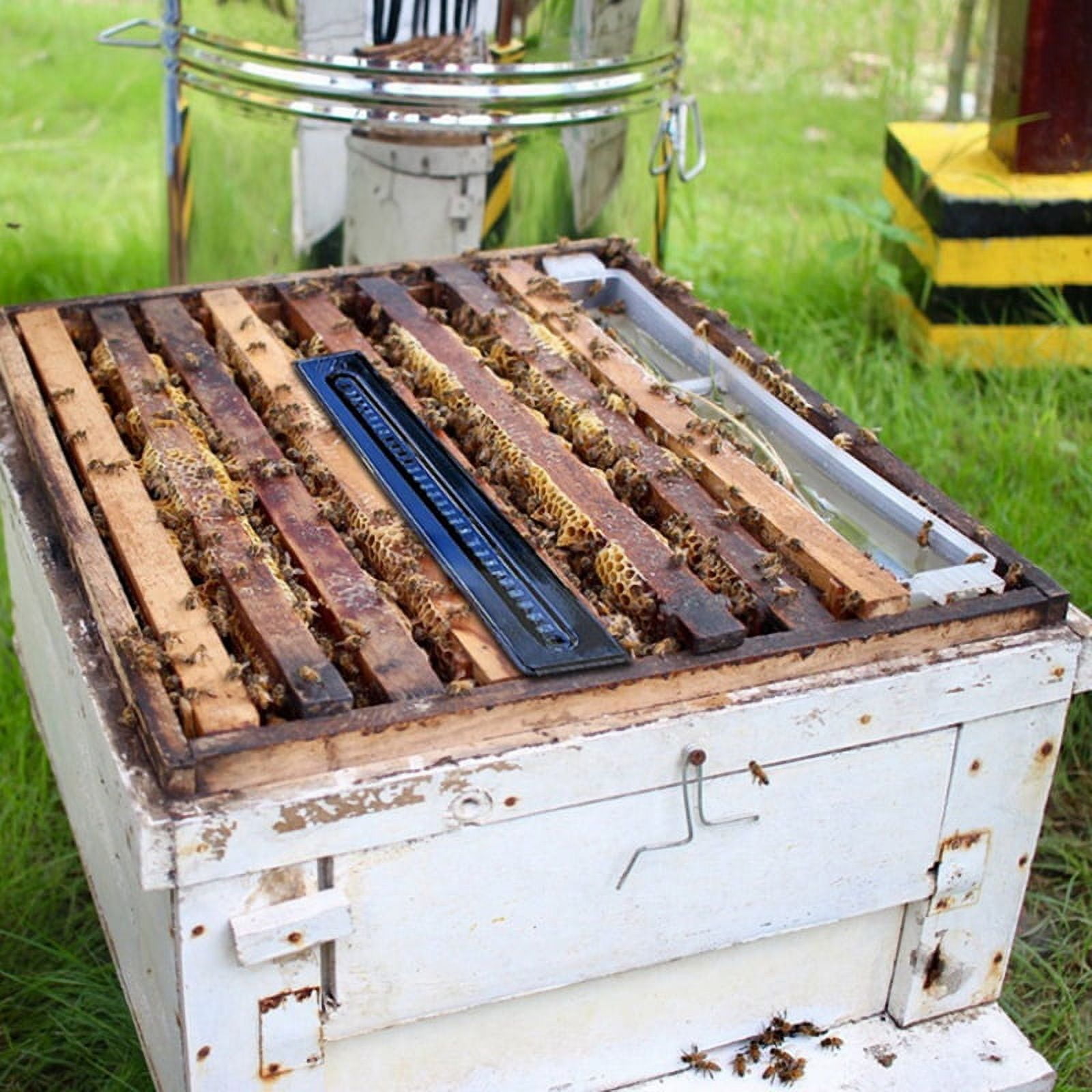 Plastic Traps Farm Beekeep Tools Small Bee Hive Mite Traps Control ...