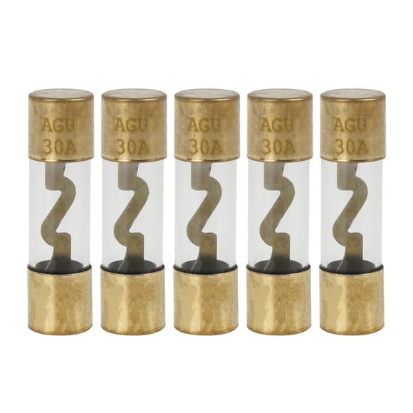30 Amp Automotive Fuses
