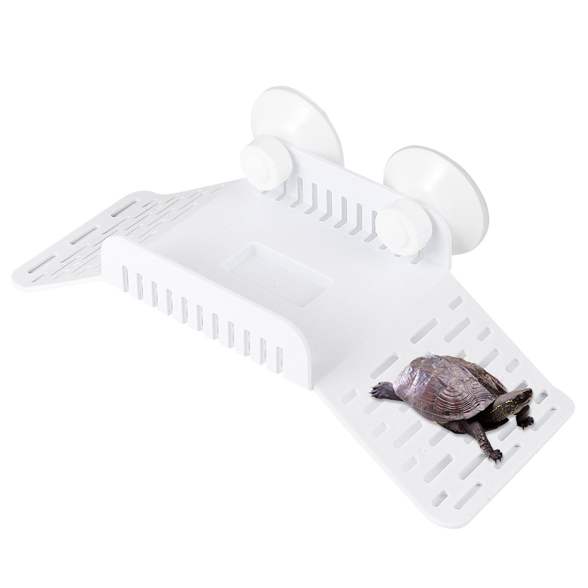 Plastic Turtles Floating Platform Turtle Basking Climbing Dock Aquarium ...