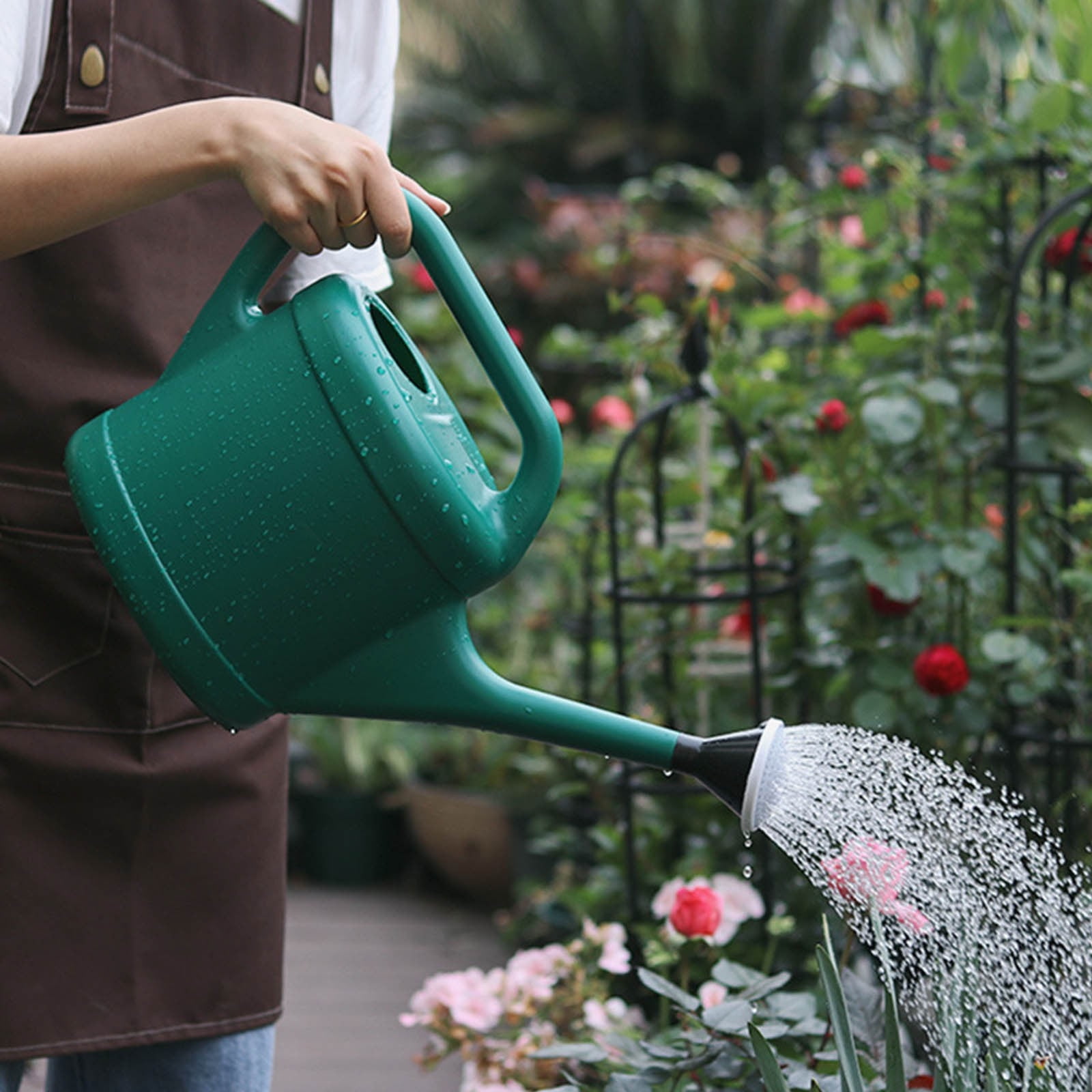 Plastic Watering Can with Long Spout - 3L, 5L, 8L, 10L Capacity ...