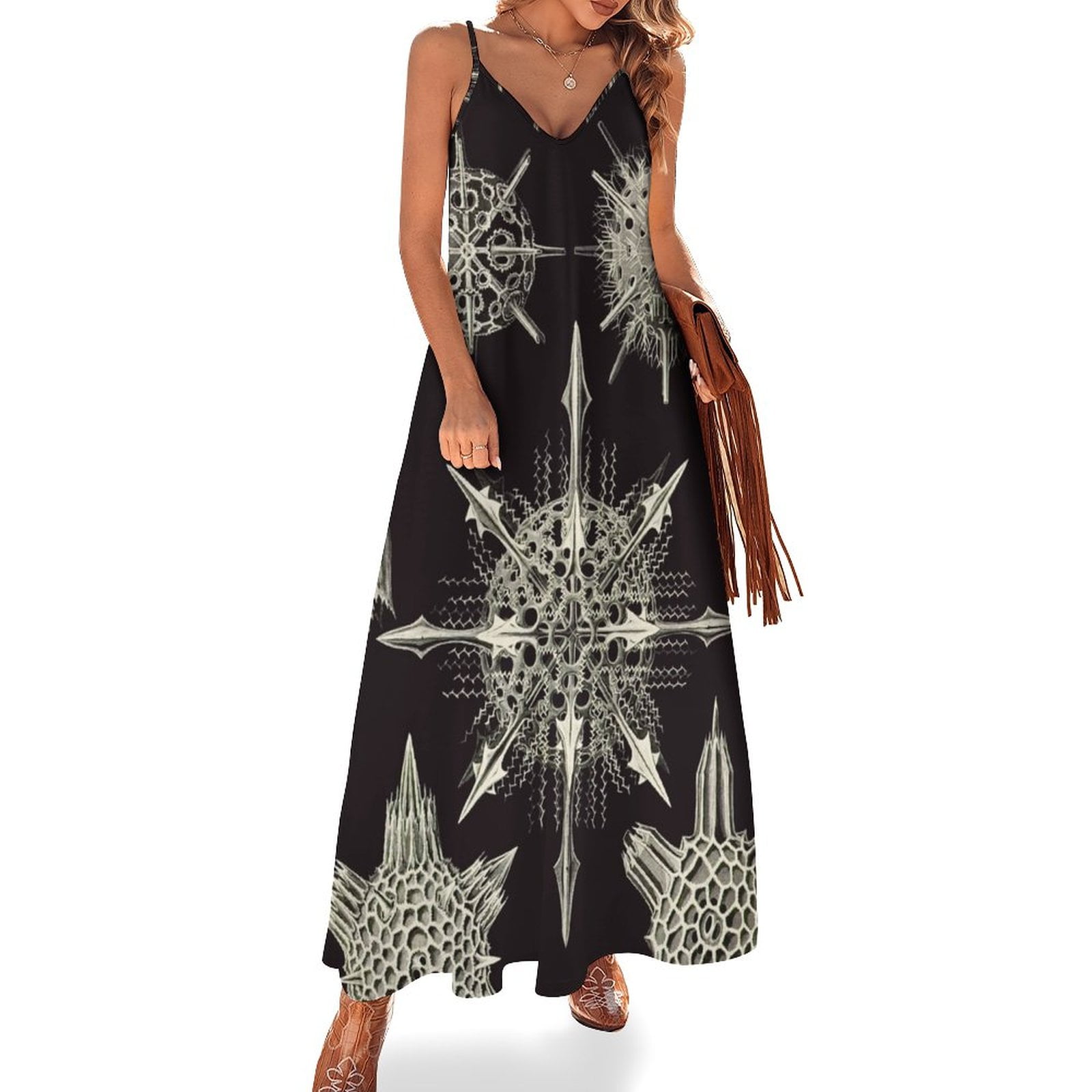 Plate 41. Acanthophracta marine protozoans that typically have a ...