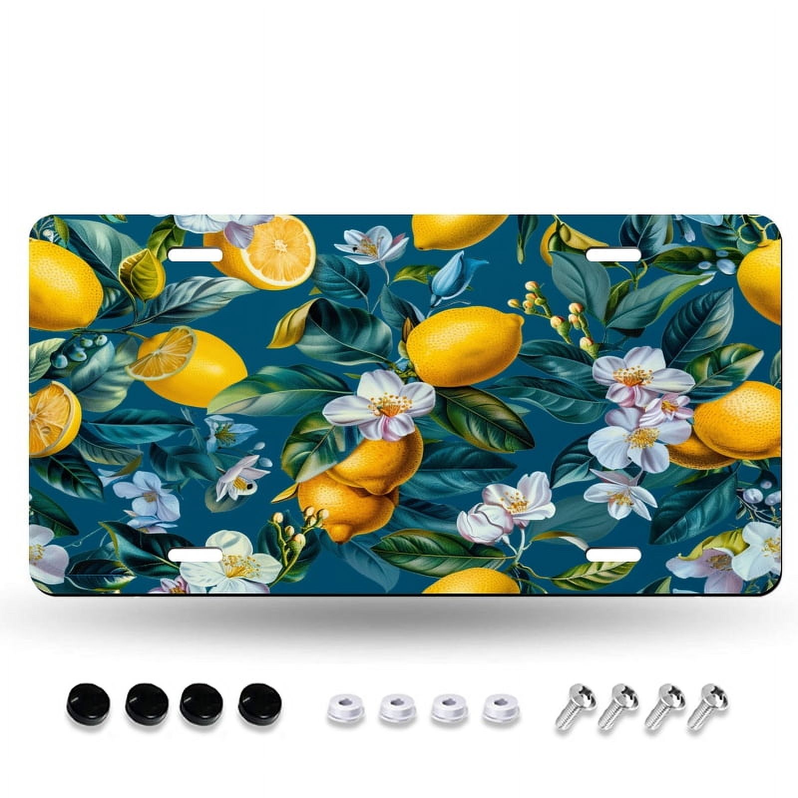 Plate Frame, Decorative Rust-Proof Stainless Steel License Plate ...