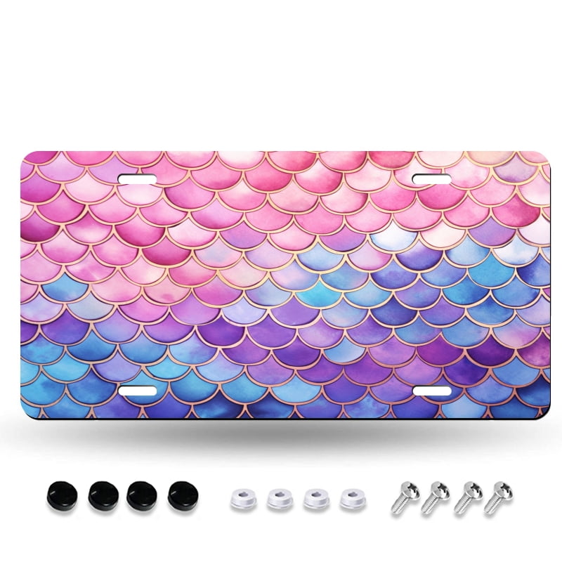 Plate Frame, Decorative Rust-Proof Stainless Steel License Plate ...