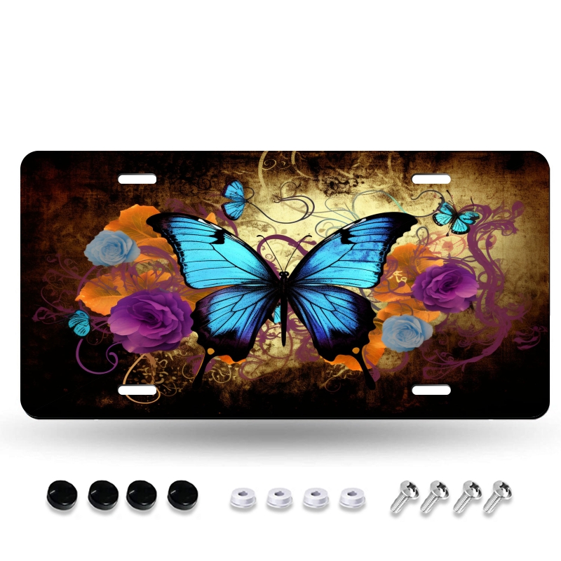 Plate Frame, Decorative Rust-Proof Stainless Steel License Plate ...