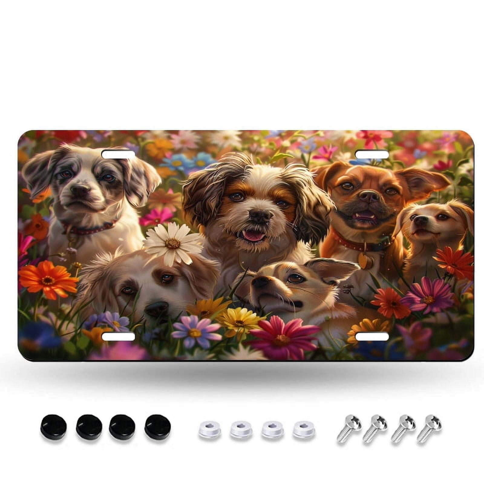 Plate Frame, Decorative Rust-Proof Stainless Steel License Plate ...