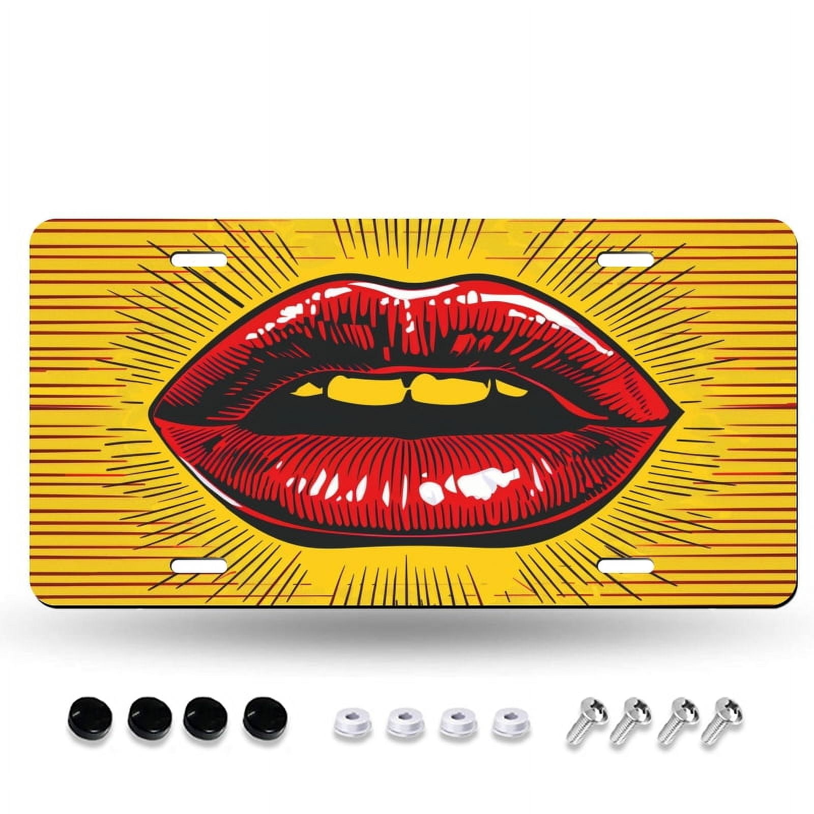 Plate Frame, Decorative Rust-Proof Stainless Steel License Plate ...