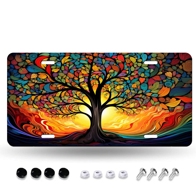 Plate Frame, Decorative Rust-Proof Stainless Steel License Plate ...