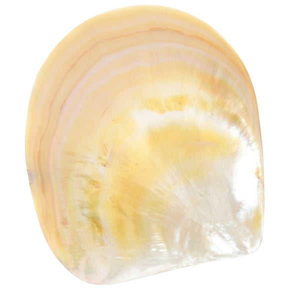 Best Sellers In Plate Guards