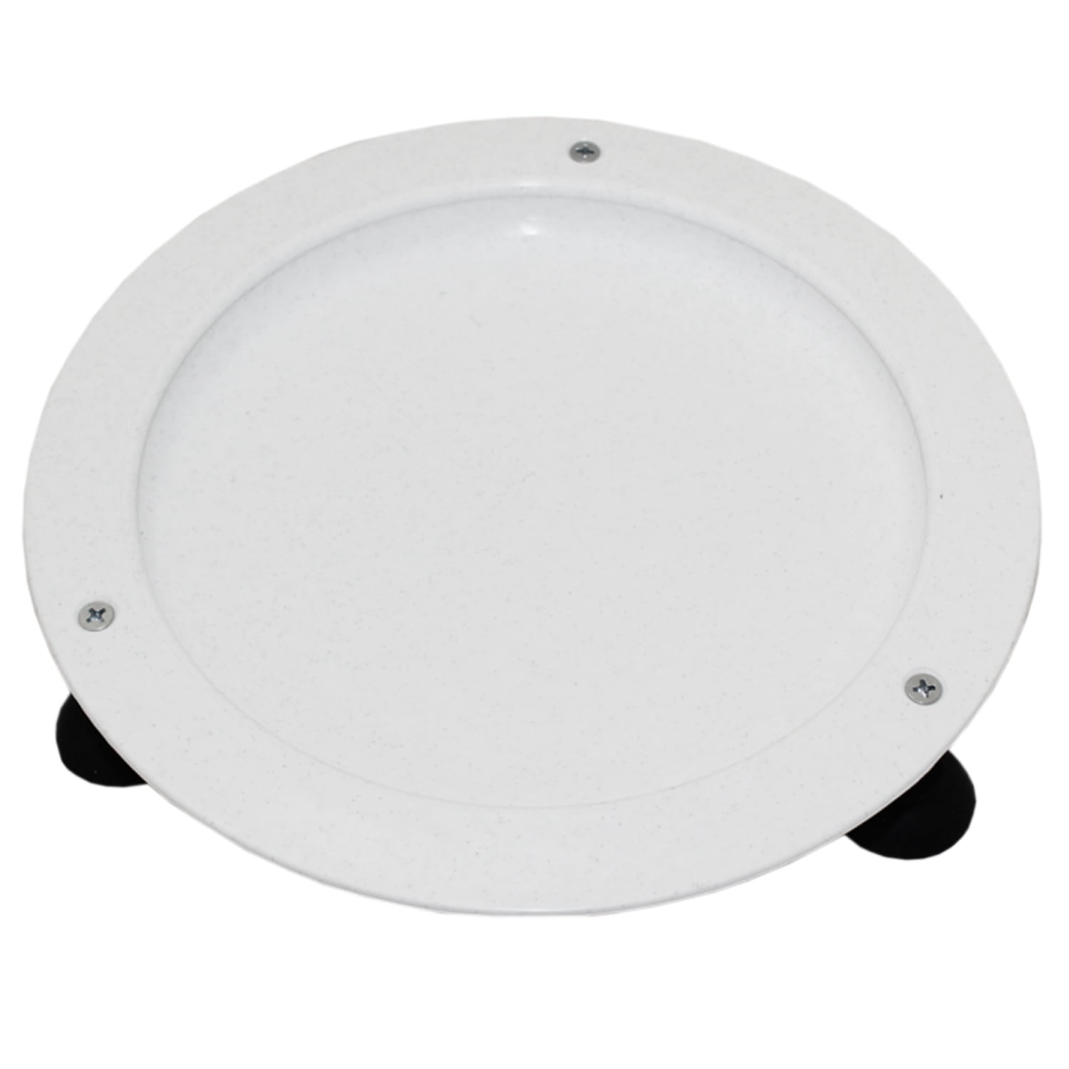 Plate with Curved Inner Lip and Suction Cup Feet - Walmart.com
