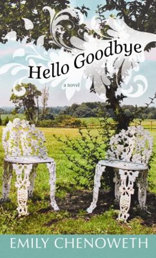 Pre-Owned Hello Goodbye (Hardcover) 1602855390 9781602855397 - Walmart.com