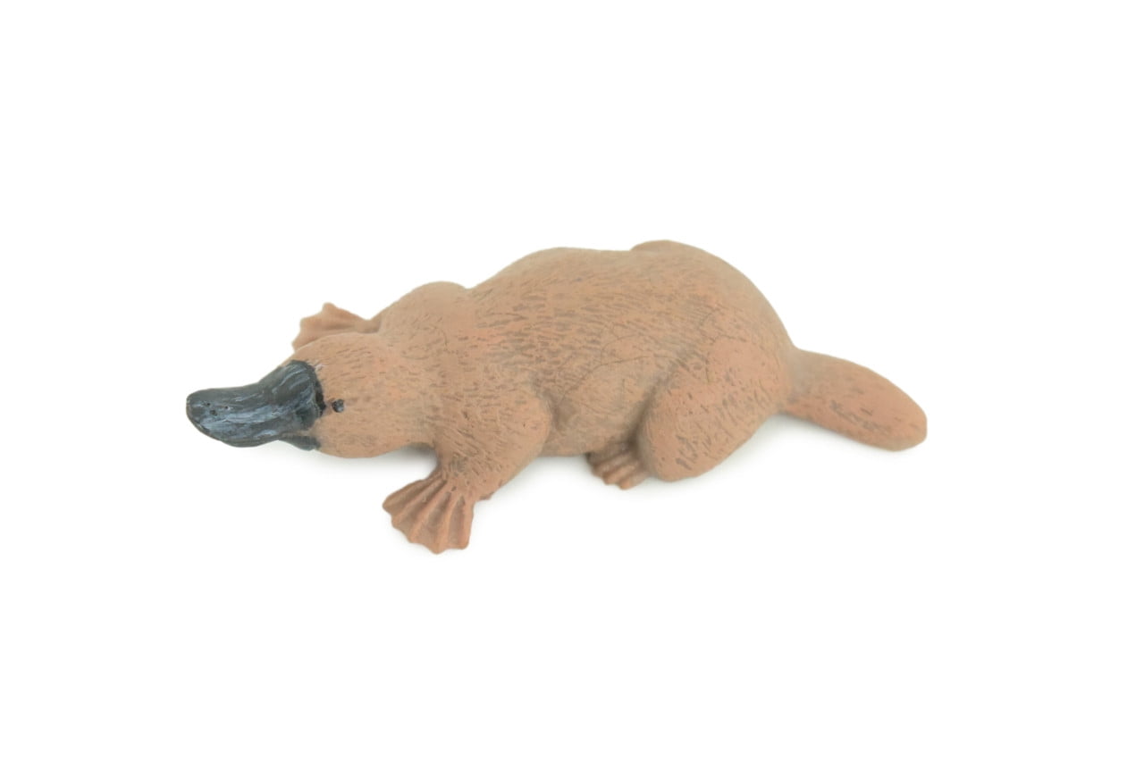 Platypus Duckbill, Very Nice Hard Rubber, Educational, Hand Painted ...