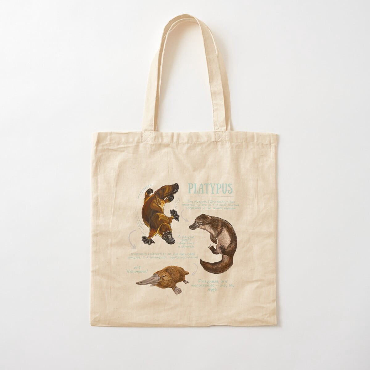 Platypus Fun Facts Cotton Tote Bag Canvas Tote Bag, Family Gift For ...