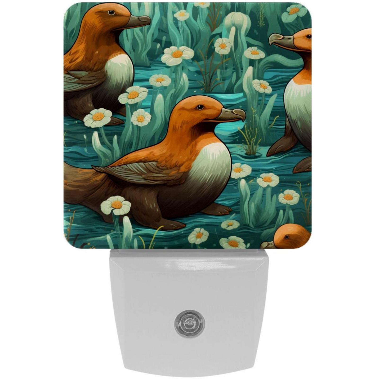 Platypus LED Square Night Lights - Bedside Lighting Solution for a ...