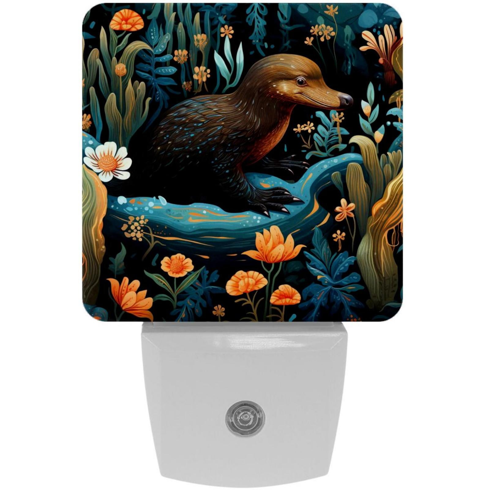 Platypus LED Square Night Lights - Illuminating Your Space with Style ...