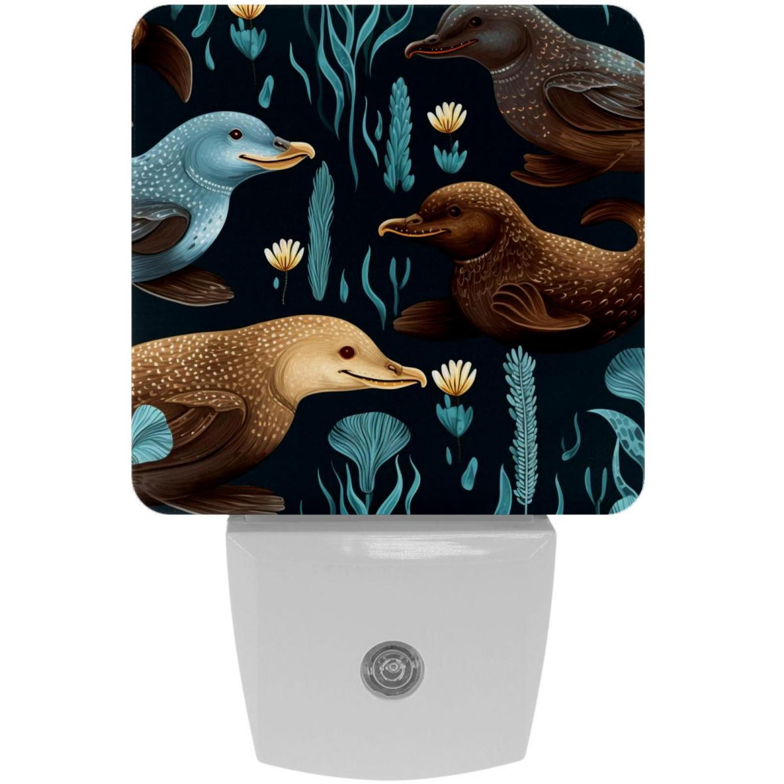 Platypus LED Square Night Lights - Illuminating Your Space with Style ...
