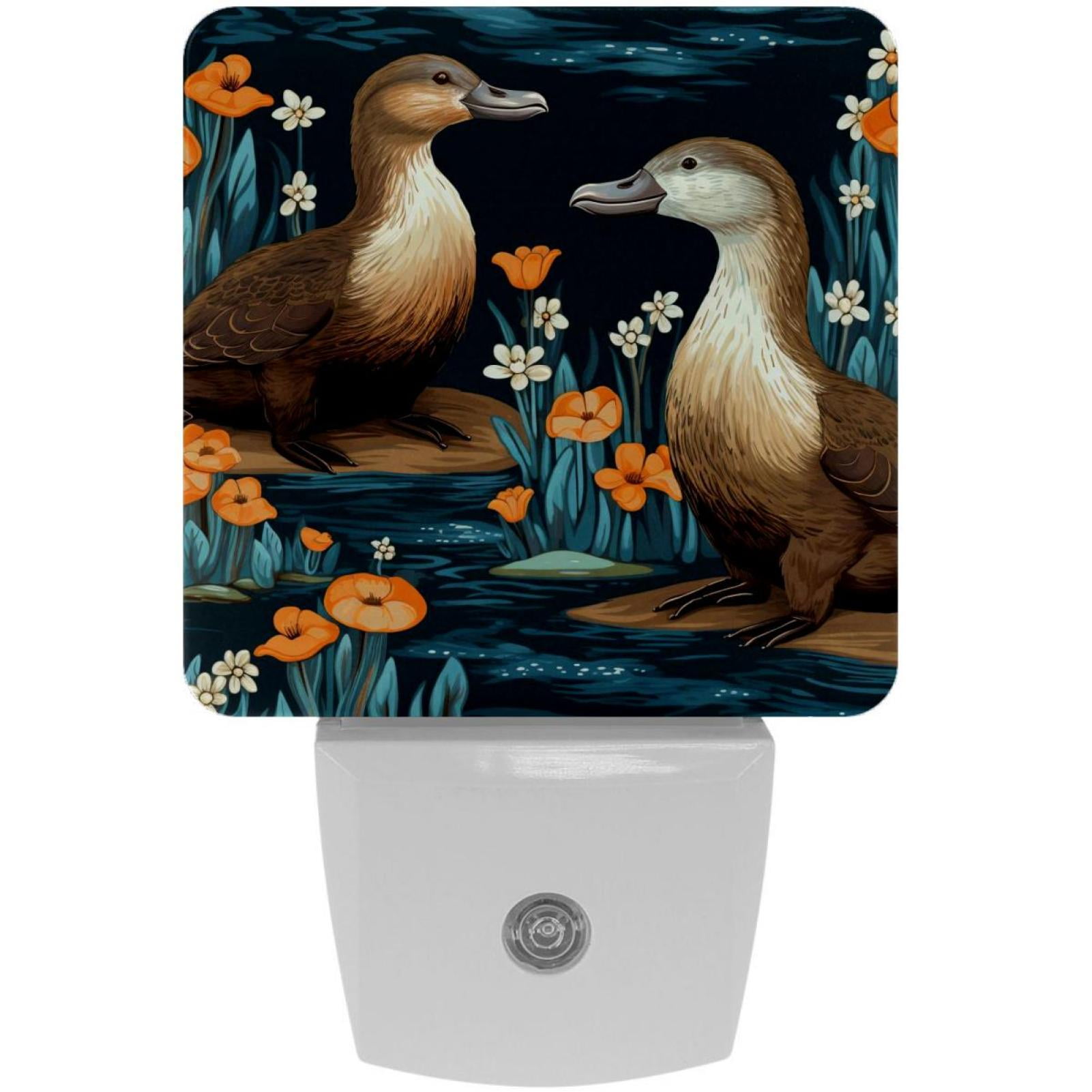 Platypus LED Square Night Lights - Modern Design, Soft Glow, Energy ...
