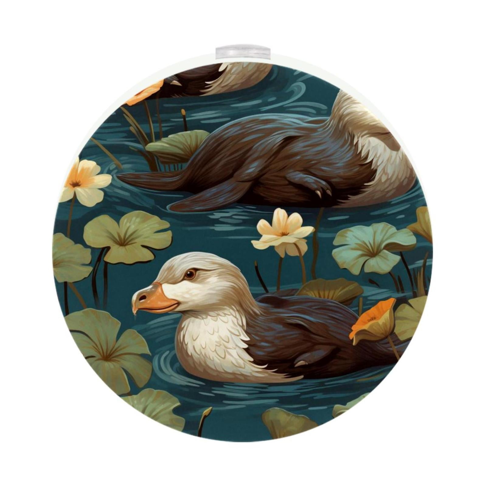 Platypus Led Round Night Light-2pcs, Gentle Glow Plug in Wall Lamp for ...