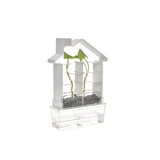 PlaySTEAM Plant Maze Botany Set - Walmart.com