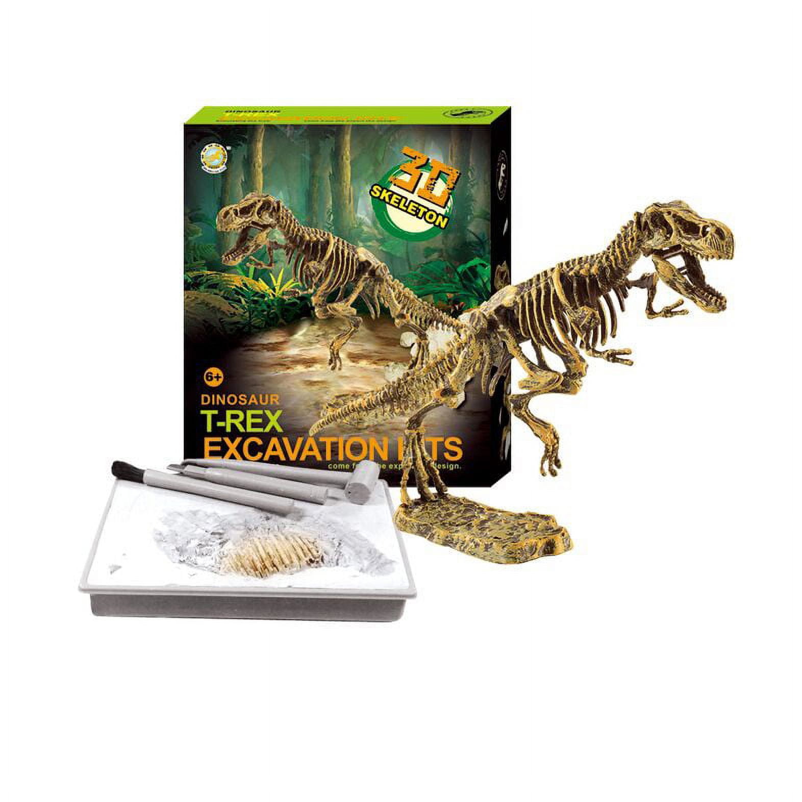 PlayWorld Dinosaur Skeleton Fossil Excavation Model Kit (T-Rex ...