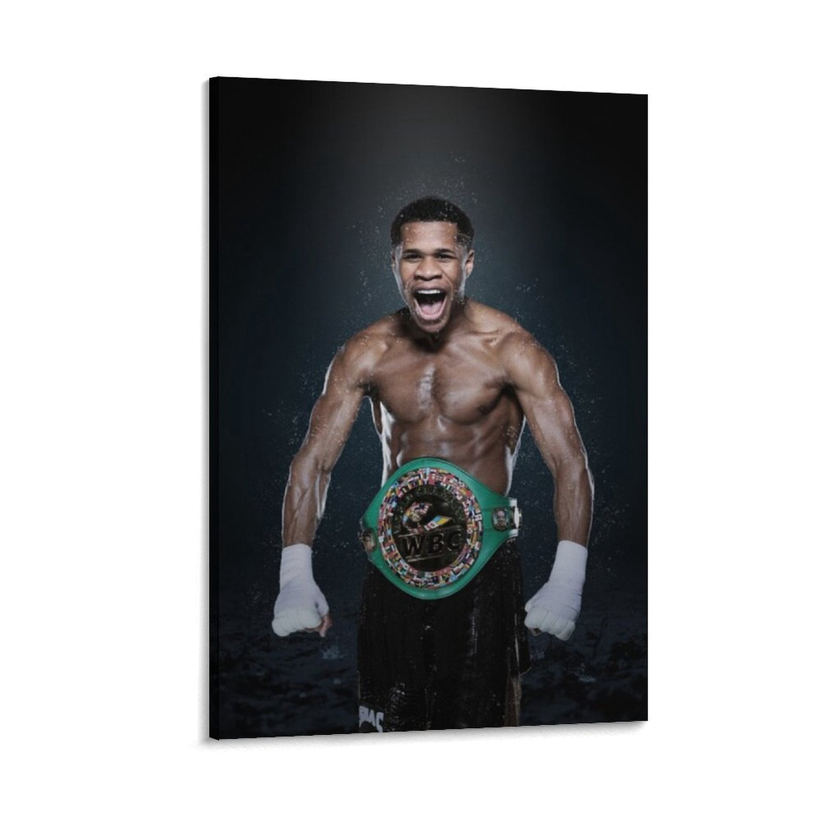 Player Devin Haney Poster Poster Cool Artworks Painting Wall Art Canvas ...