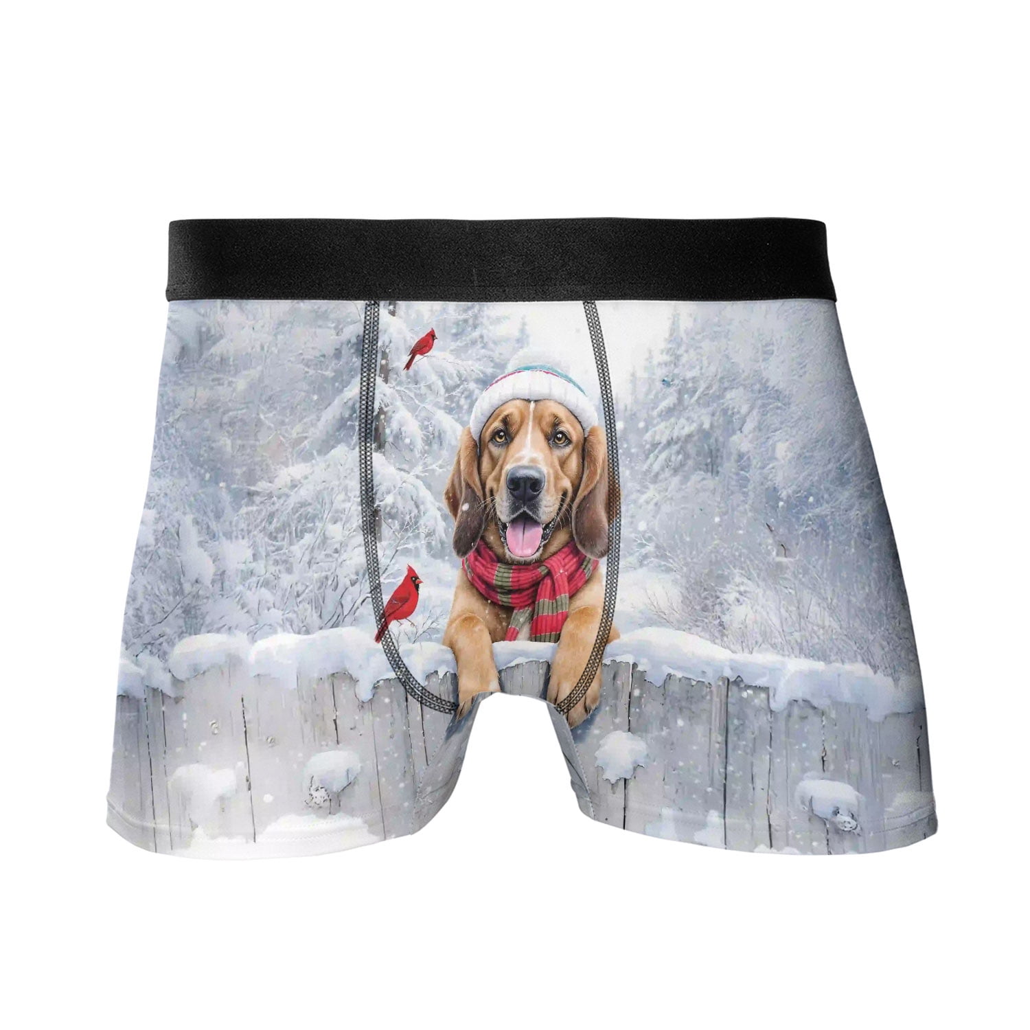 Playful Bloodhound Welcomes Winter Snowy Day with Cardinal Bird All ...