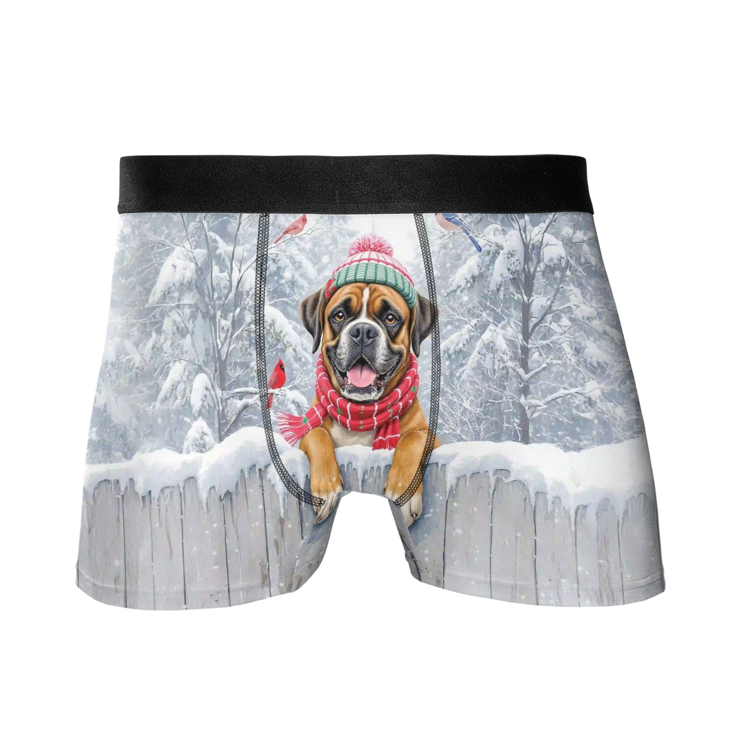 Playful Boxer Welcomes Winter Snowy Day with Cardinal Bird All Over ...