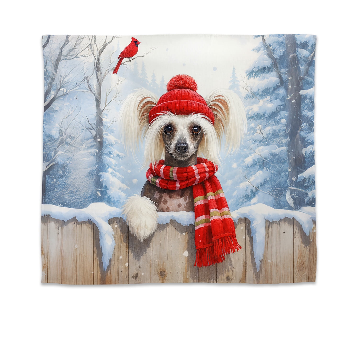 Playful Chinese Crested Welcomes Winter Snowy Day with Cardinal Bird ...