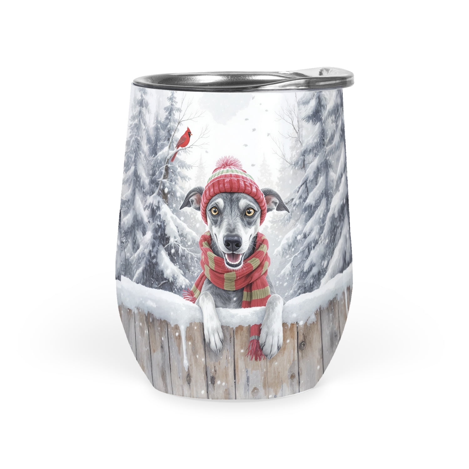 Playful Italian Greyhound Welcomes Winter Snowy Day with Cardinal Bird ...