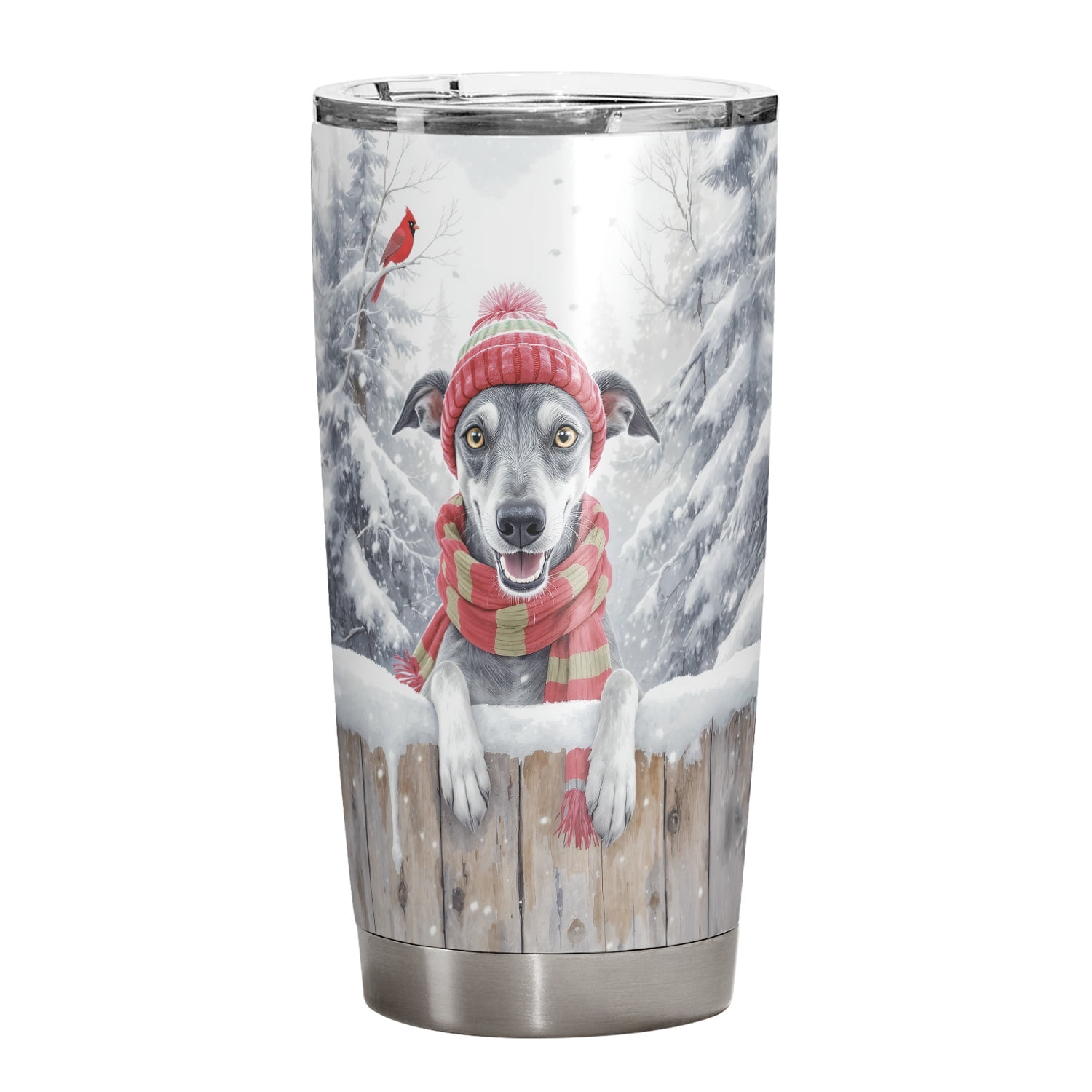 Playful Italian Greyhound Welcomes Winter Snowy Day with Cardinal Bird ...