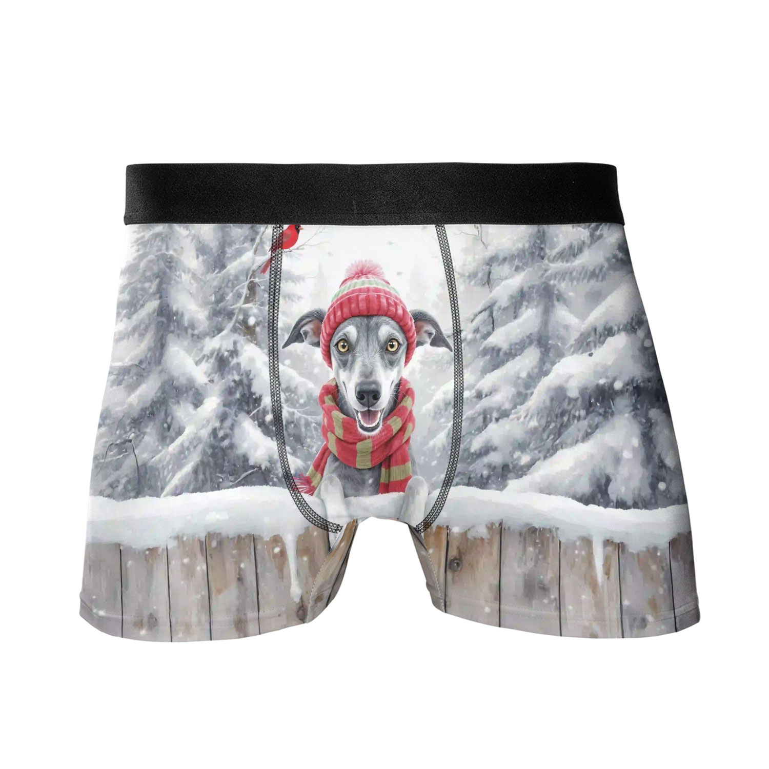 Playful Italian Greyhound Welcomes Winter Snowy Day with Cardinal Bird ...