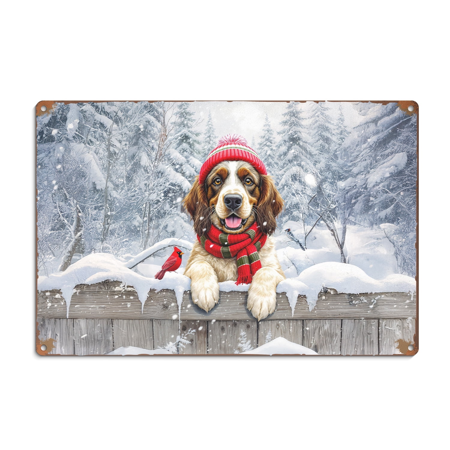 Playful Portuguese Water Dog Welcomes Winter Snowy Day with Cardinal ...