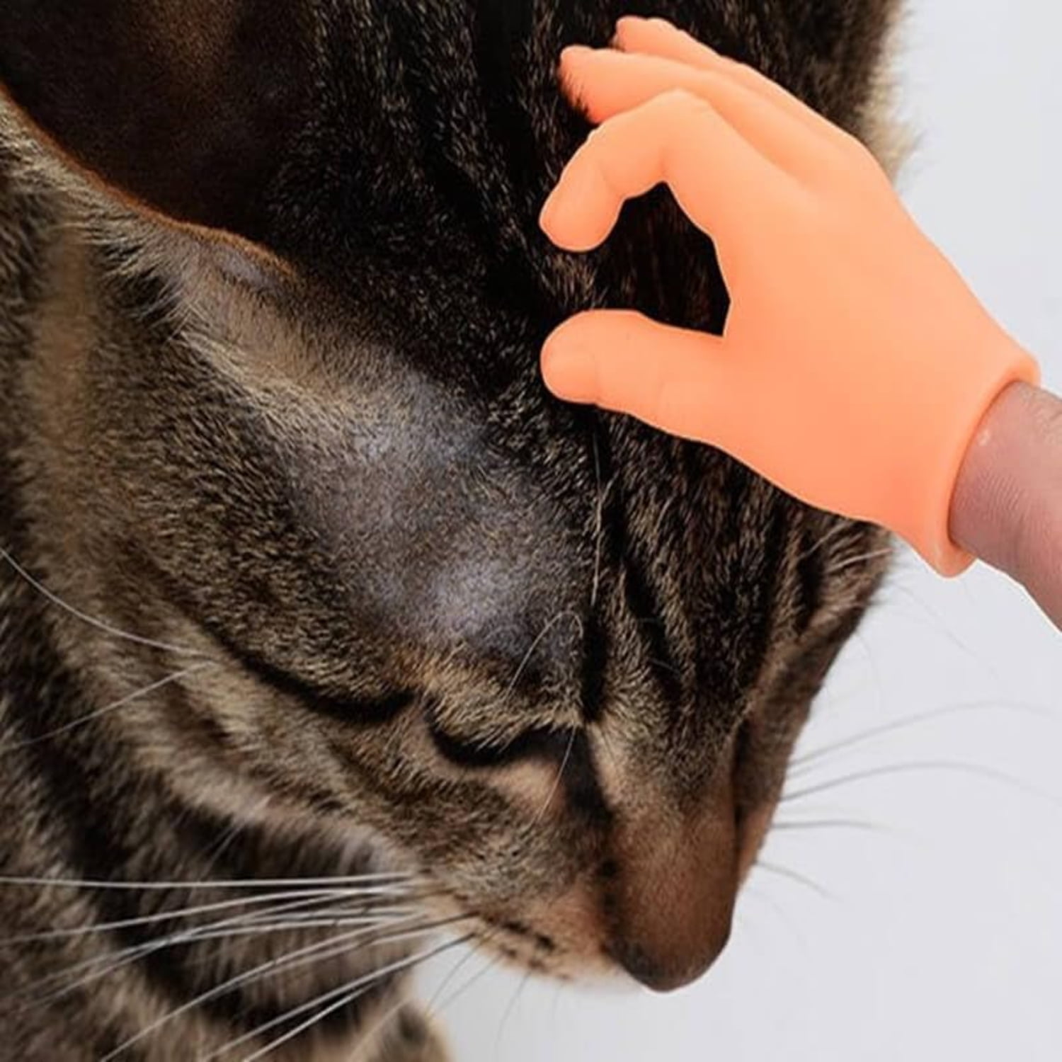 Playful and entertaining Quirky Cat Gloves with comforting mini ...