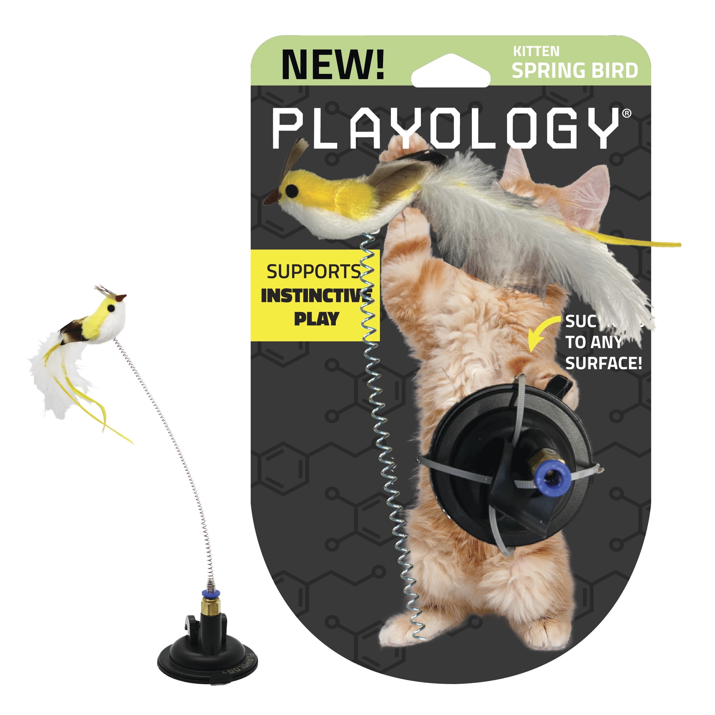 Playology Suction Cup Spring Bird Cat Toy - Walmart.com