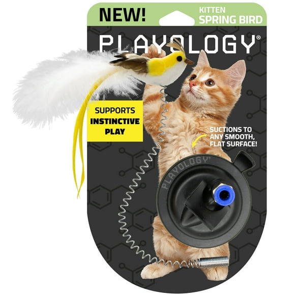 Cat String Toys