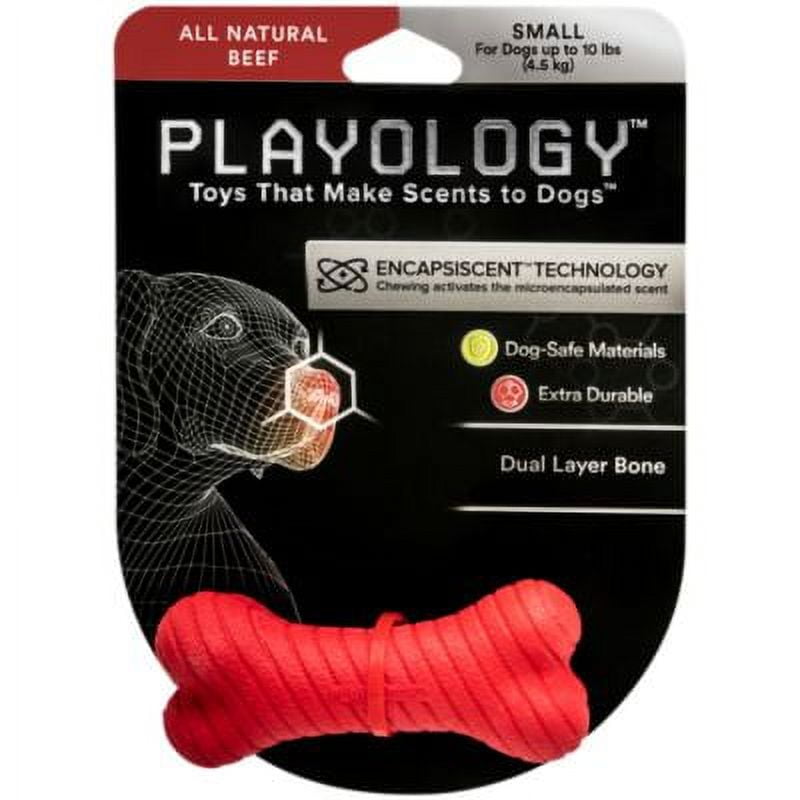 Playology Dual Layer Bone Dog Toy - Engaging All Natural Beef Scent Dog ...