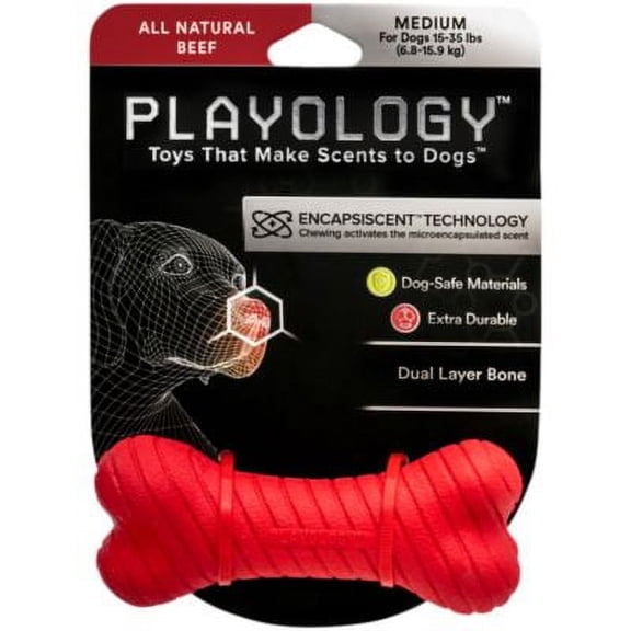 Playology - Walmart.com