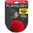 Playology Dog Toys | Plush Squeaky Ball, Beef Scented Toy - Medium ...