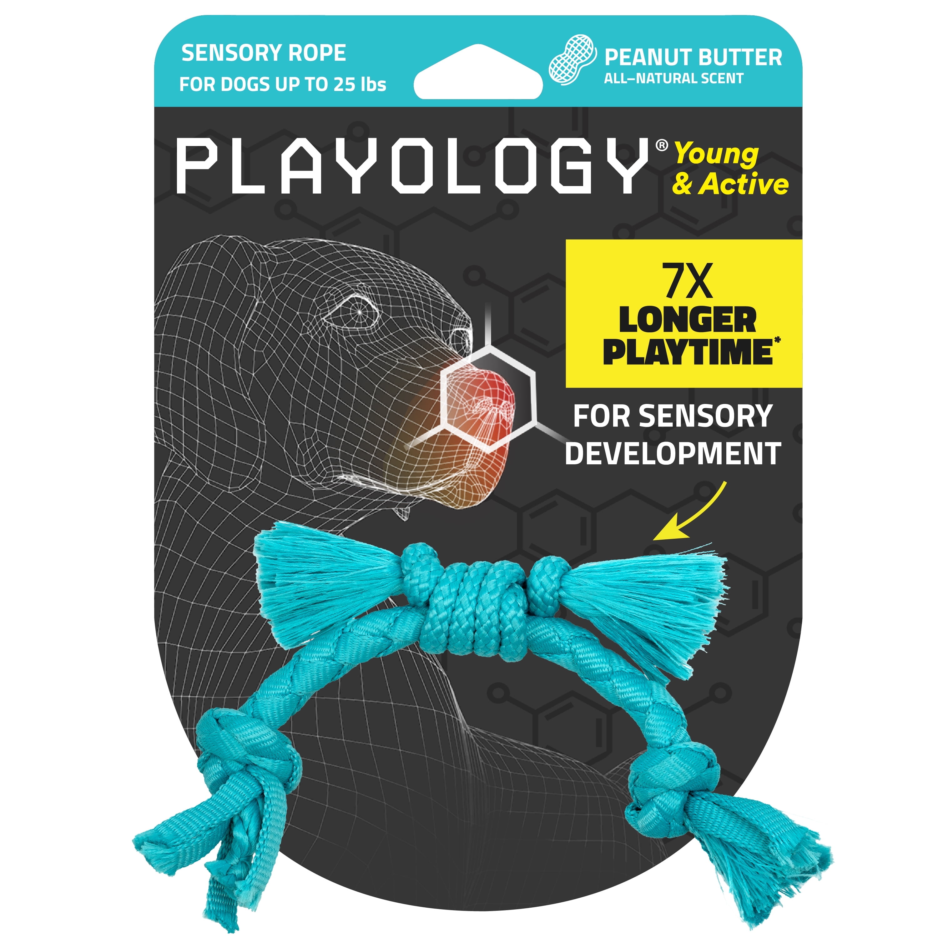 Playology Puppy Rope Dog Toy | Small Sized for Puppies up to 25 lb ...