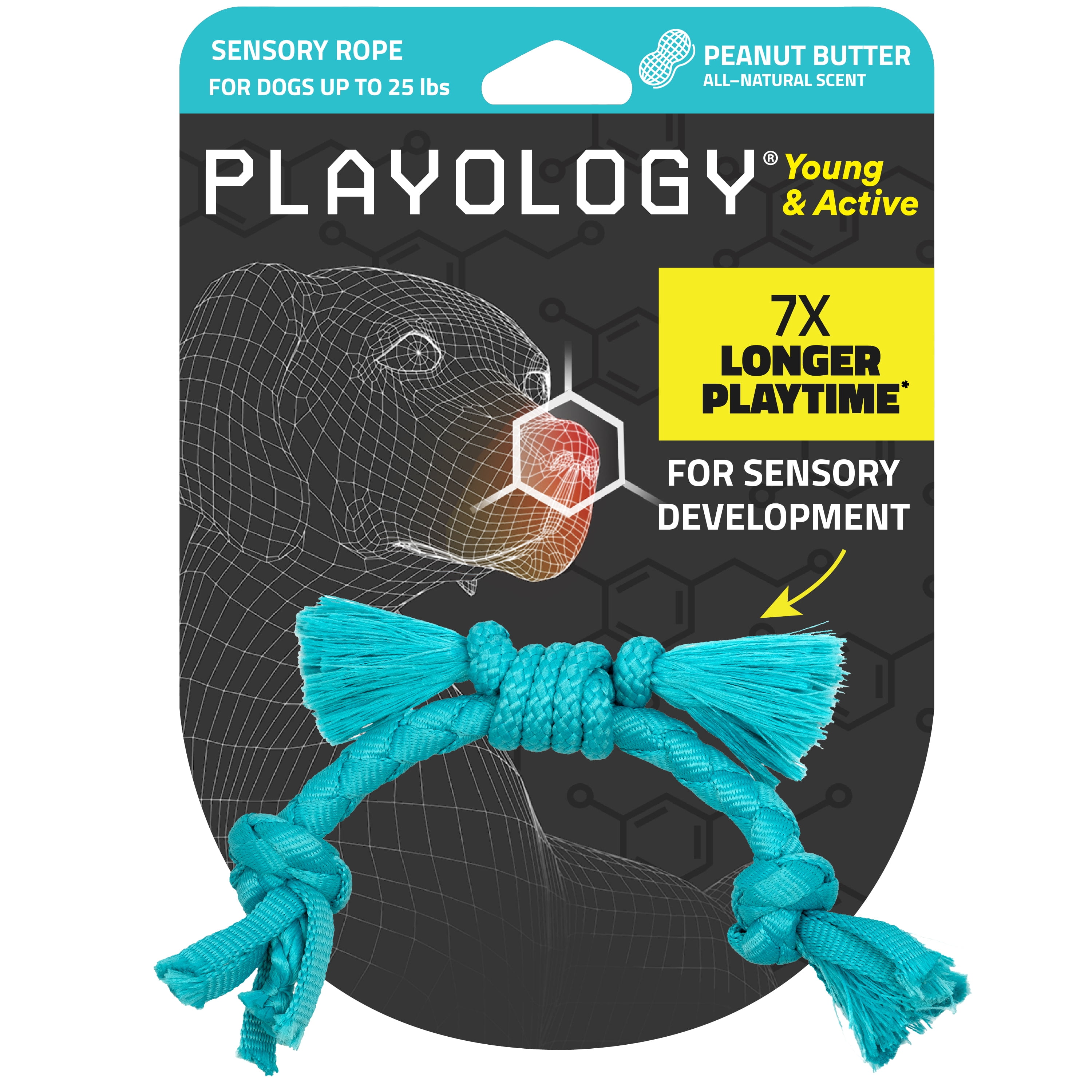 Playology Dog Toys | Puppy Toy Rope, Peanut Butter Scented Toy for ...