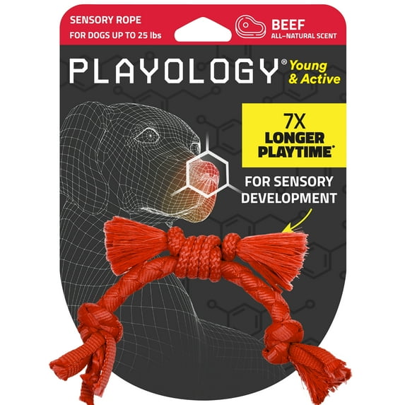 Playology Dog Toys | Puppy Toy Rope, Beef Scented Toy for Teething ...