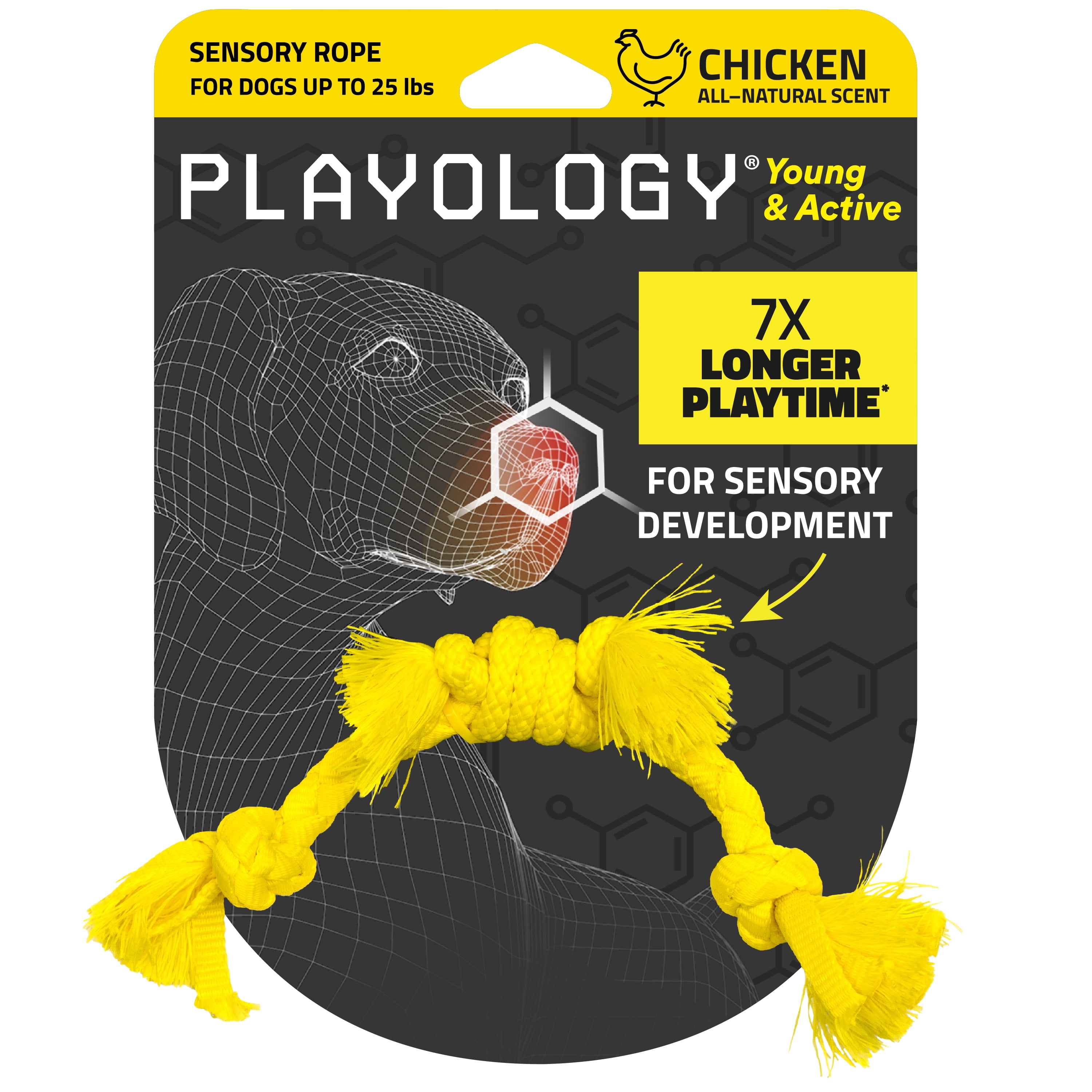 Playology Dog Toys | Puppy Toy Rope, Chicken Scented Toy for Teething ...
