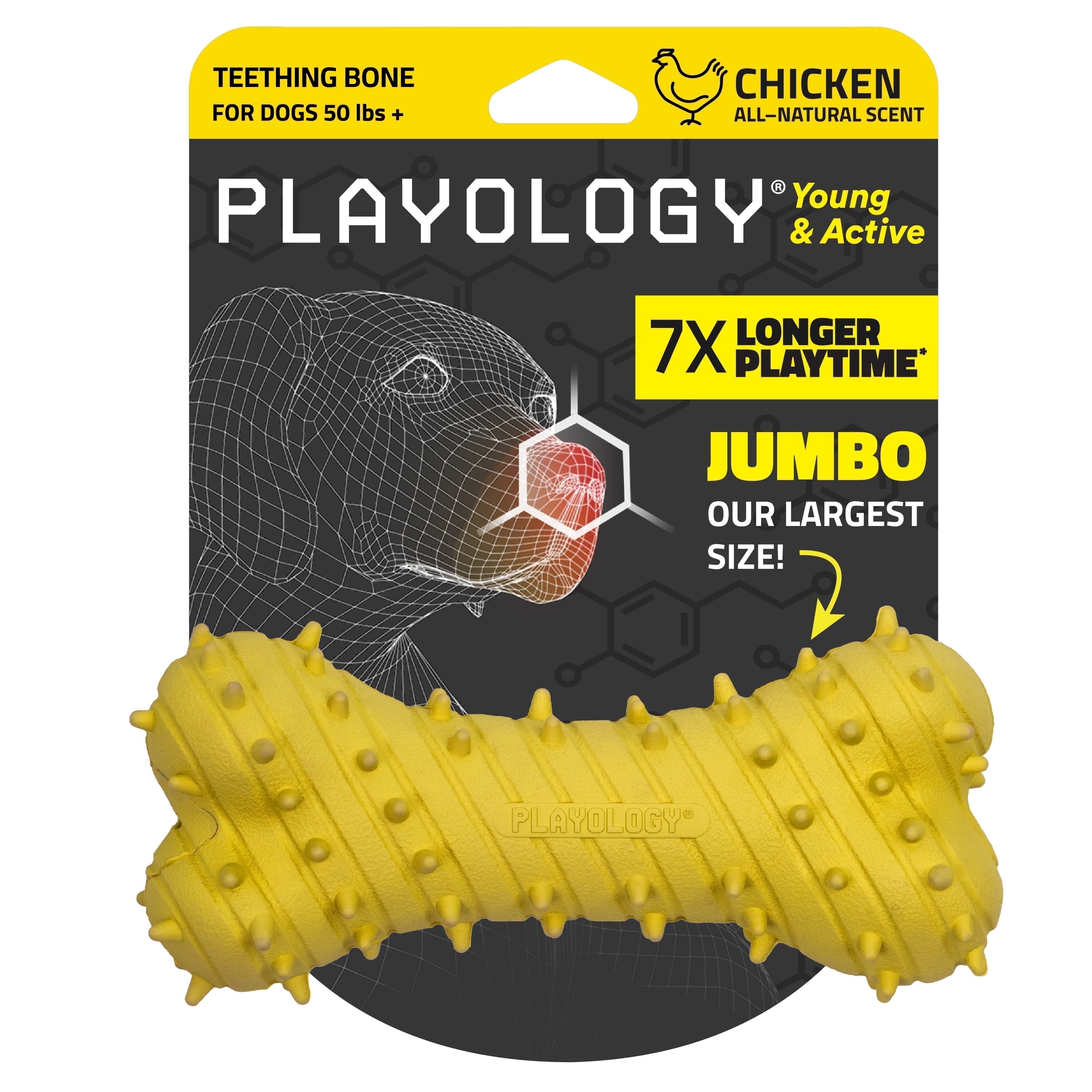 Playology Puppy Teething Bone with Squeaker | All-Natural Chicken ...