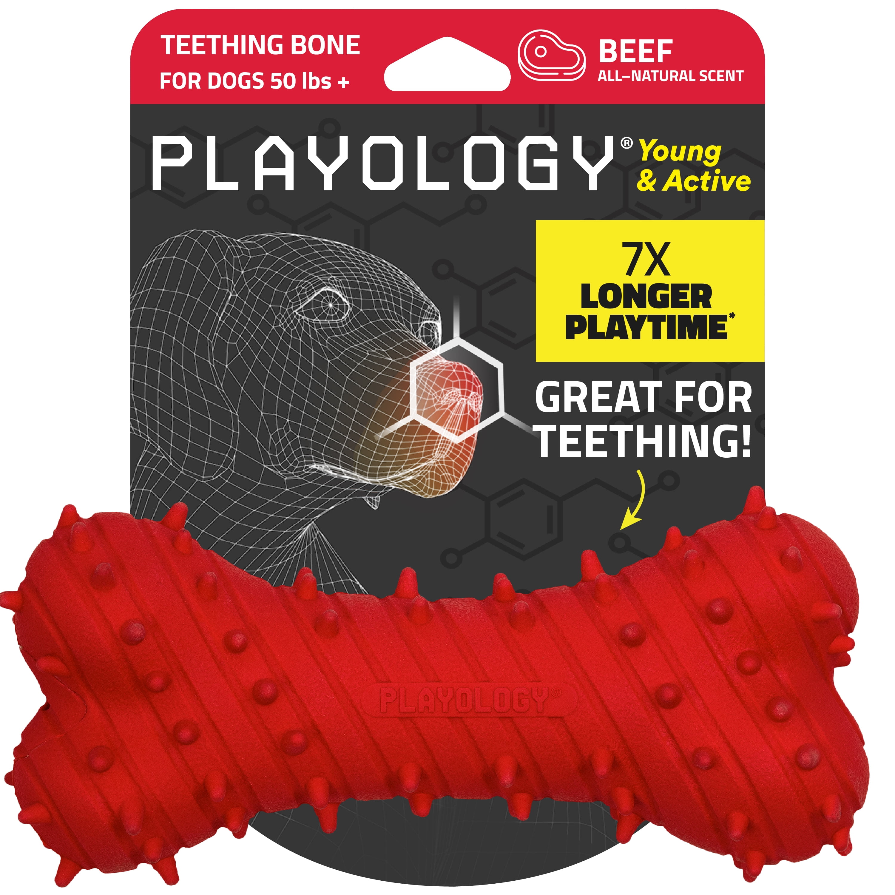 Playology Dog Toys | Puppy Teething Toy Bone, Beef Scented Toy, Jumbo ...