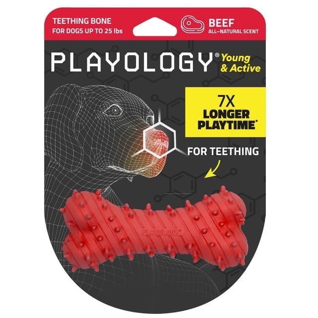 Playology Puppy Teething Bone with Squeaker | All-Natural Beef Scented ...