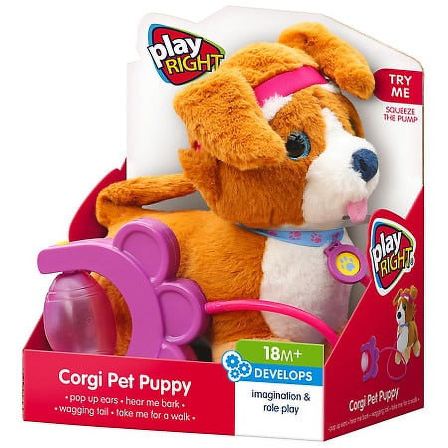 Playright Pull Along Puppy - Kids Dog Toy for Walk - 1.0 ea - Walmart.com