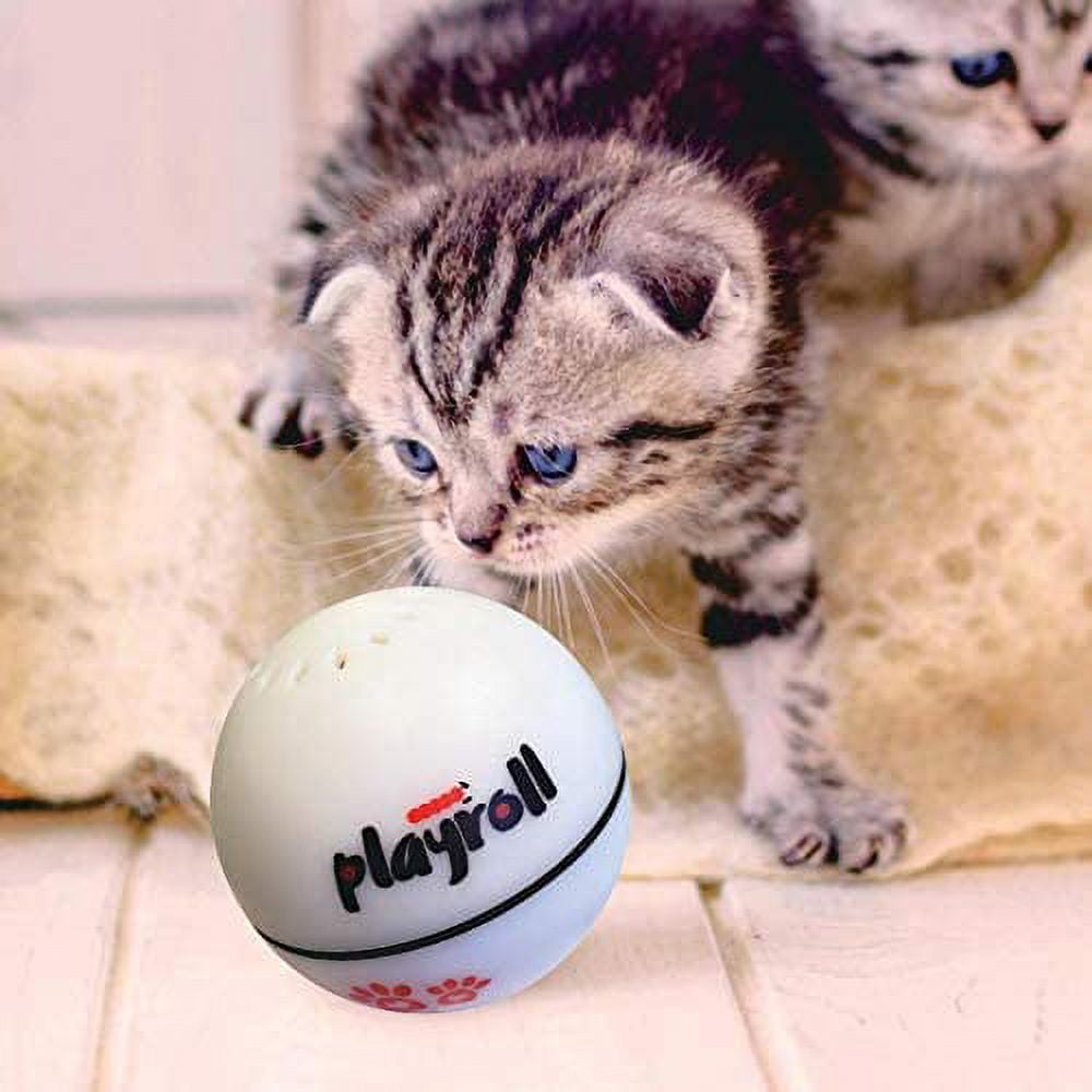 Playroll! Robotic Self Spinning Ball toy for Cats and Dogs- Built in ...