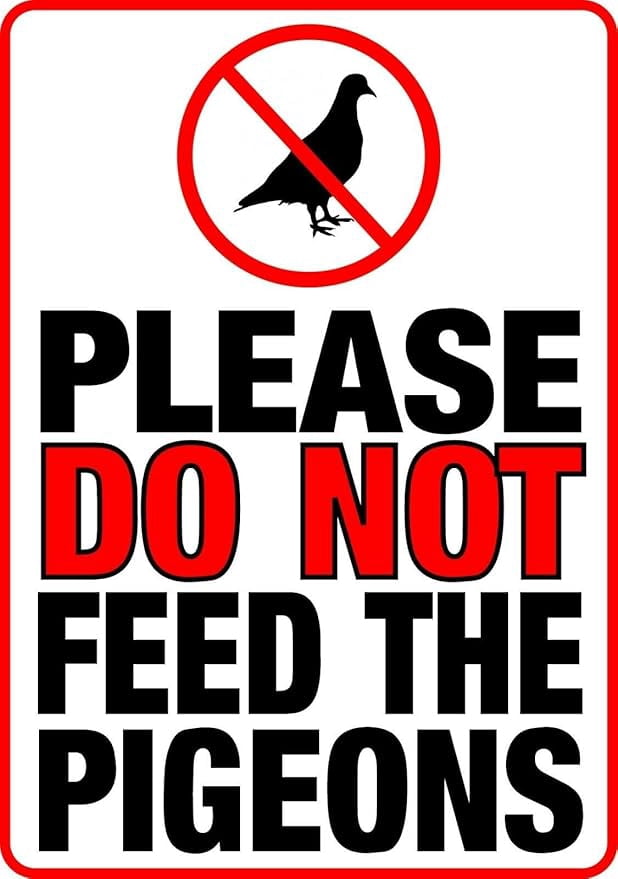 Please Do Not Feed The Pigeons Metal Sign Customised Pigeon Vermin ...