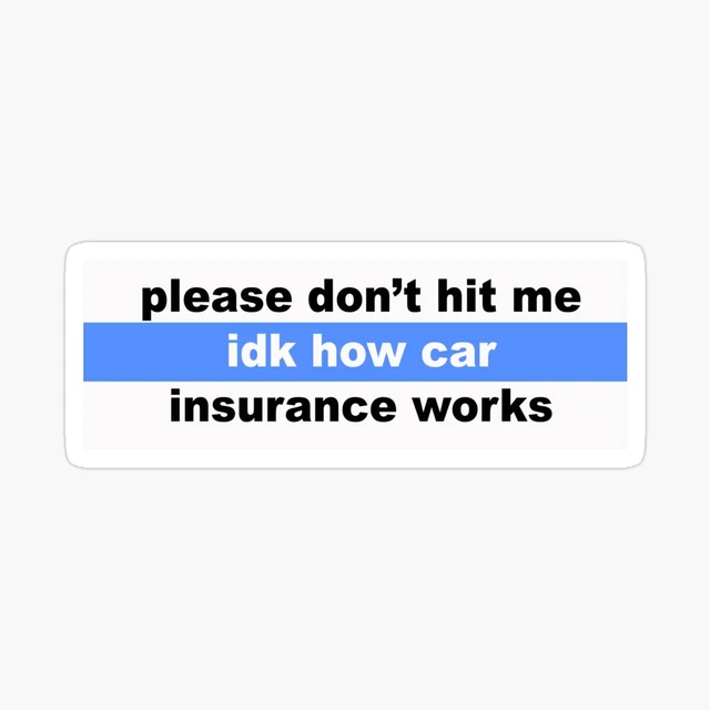 Please Don'T Hit Me Idk How Car Insurance Works Sticker Phone Decal ...