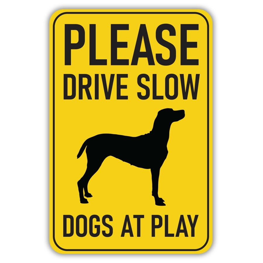Please Drive Slow Dogs At Play Metal Sign Size: 16 x 12 Inch - Walmart.com